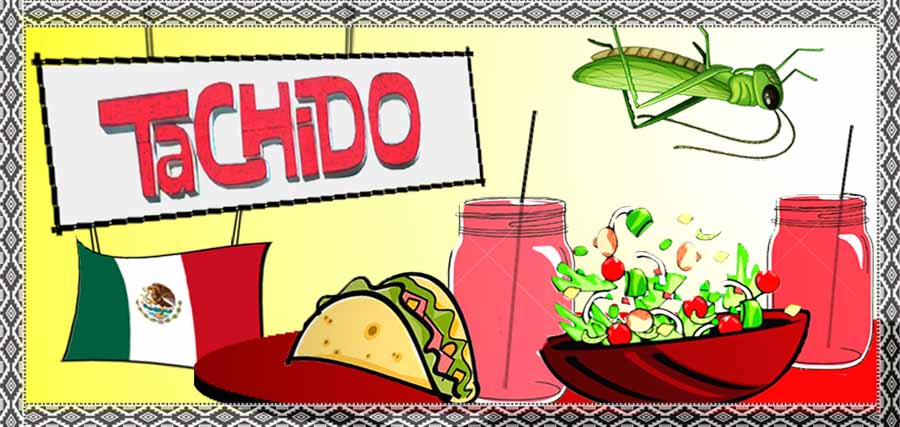 On a testé : resto mexicain Ta Chido